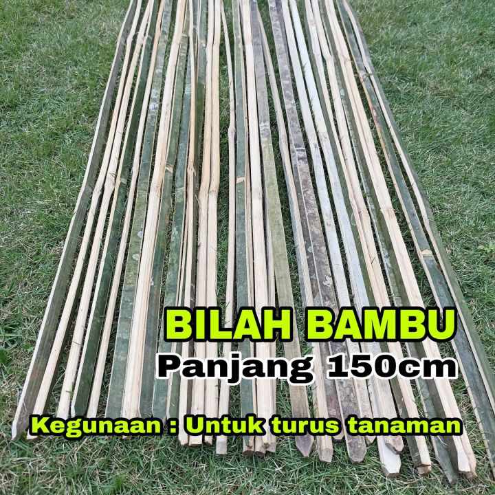 10 Batang Bilah Bambu 150cm Turus Ajir Tanaman | Lazada Indonesia