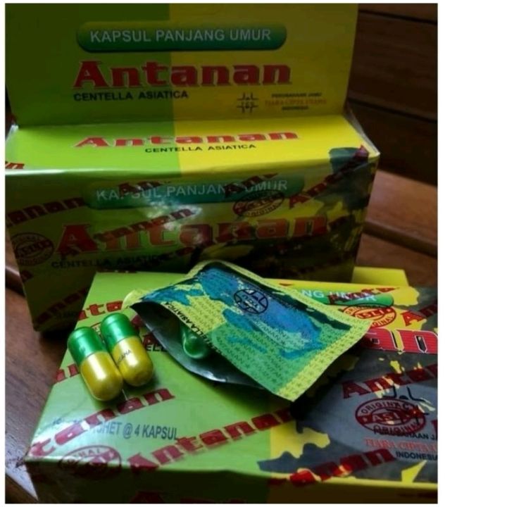 antanan kapsul herbal pegel linu | Lazada Indonesia