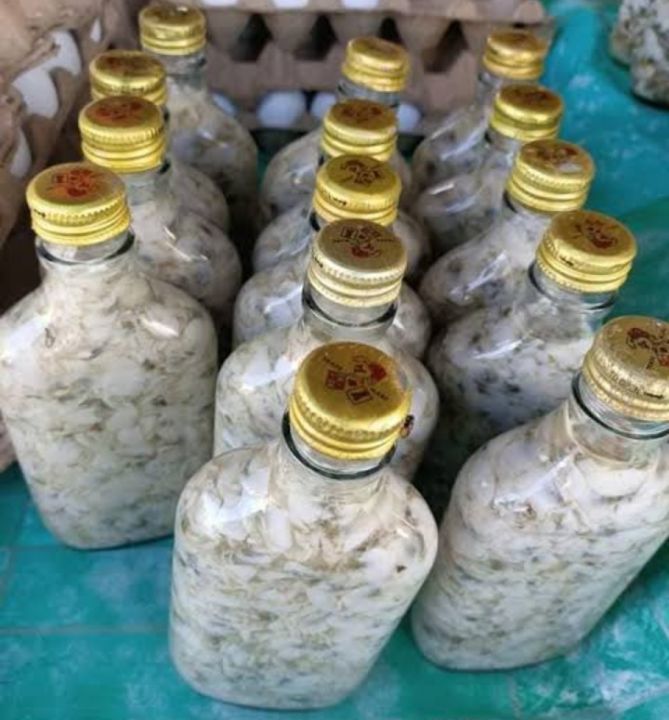 Ginamos Batitis of Silay/Premium Ginamos Batitis from Batitis Shell 350ml bottle | Lazada PH