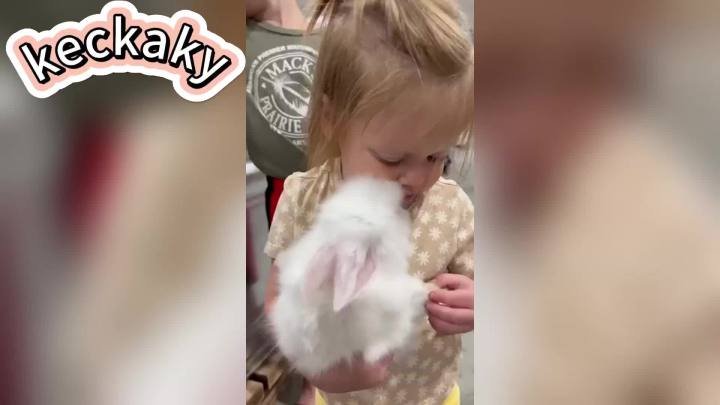 Olygee Bunny Pal, Family Bunny Pal, Fanyil Tm Bunny Pal, Bunnypal ...