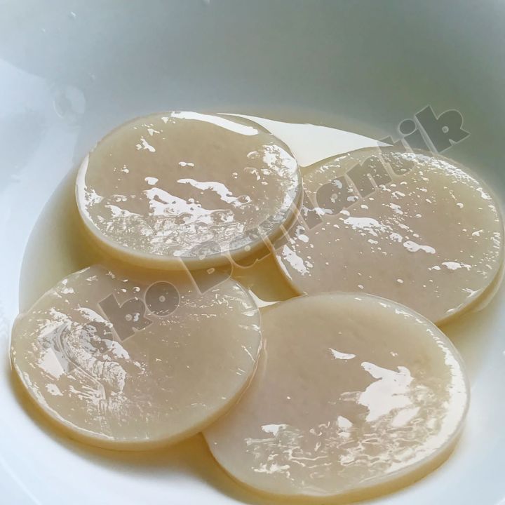 SCOBY Plus Starter Untuk Membuat Kombucha | Lazada Indonesia SCOBY Plus Starter Untuk Membuat Kombucha | Lazada Indonesia