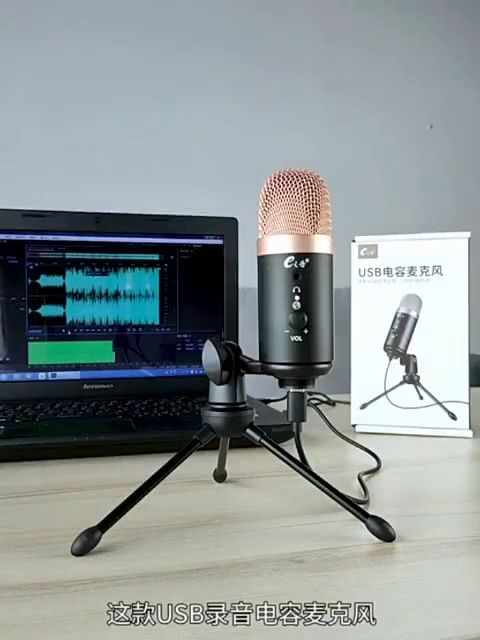 LXL Video Studio Singing Mic USB Condenser Microphone for PC Recording ...