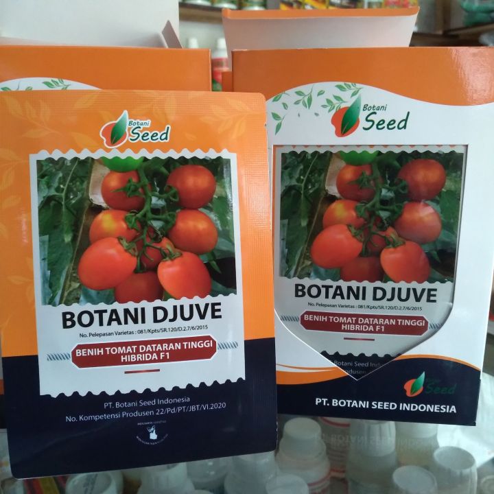 Benih Tomat Hibrida F1 Dataran Tinggi BOTANI SEED DJUVE isi 0,5gram ...