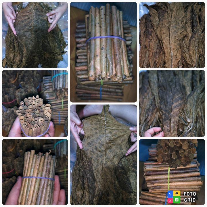 Tobacco & Lomboy leaves Set | Lazada PH