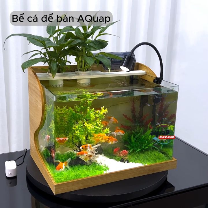 BỂ CÁ ĐỂ BÀN CAO CẤP TRỌN BỘ ĐẦY ĐỦ THIẾT BỊ AQUAP AM2 | Lazada.vn
