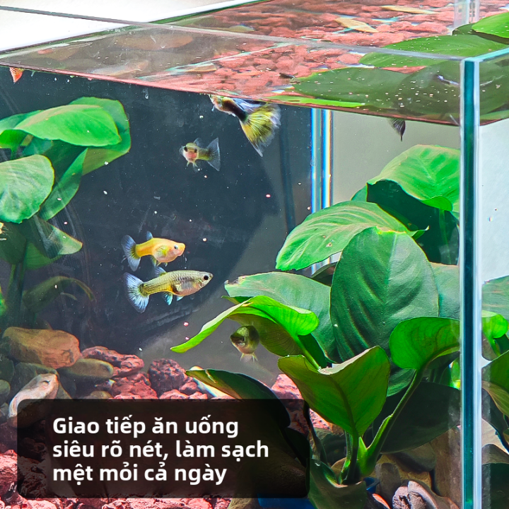sunsun | Bể Cá Sinh Thái cho Cá Betta, Cá Vàng và Rùa với Nuôi Cá Nhàn ...