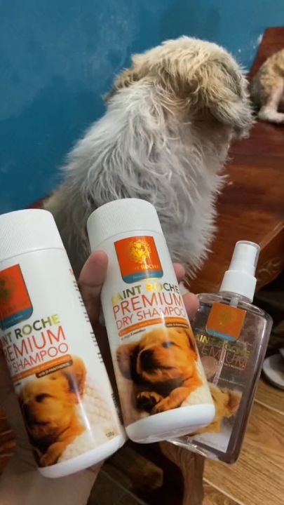128g Saint Roche Grooming Supplies Premium Dog Dry Shampoo Dog Pet ...
