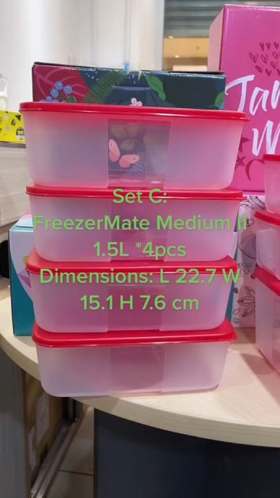 Tupperware Freezermate Series/ Freezermate Small/ Freezermate Medium ...