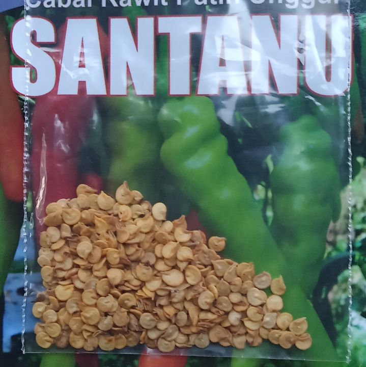 50 Butir Benih CABE CABAI RAWIT SANTANU ( Kemasan Repack ) | Lazada ...