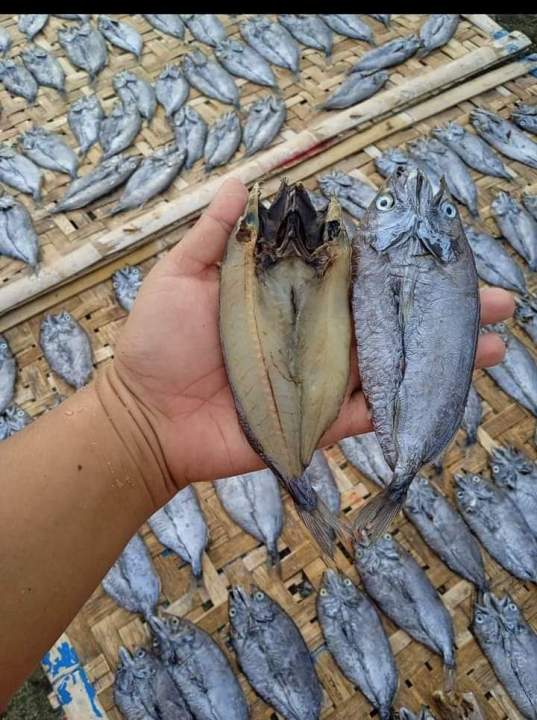 Layget Taba, New look, Nora Aunor from Bicol dried fish 250g 500g ...