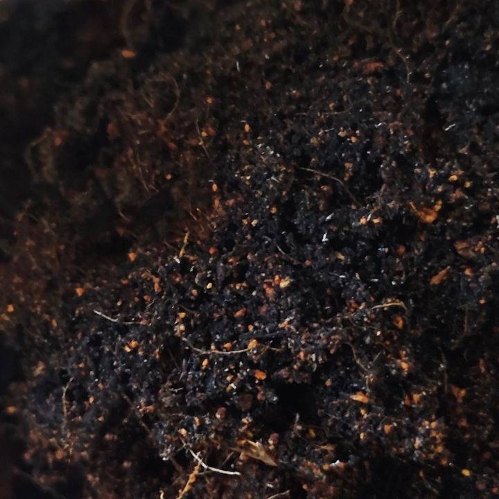 Tanah hitam campuran sabut kelapa cocopeat 1guni | Lazada