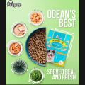PETYUM Seafood Feast Complete Formula Cat Dry Food for All Breeds ...