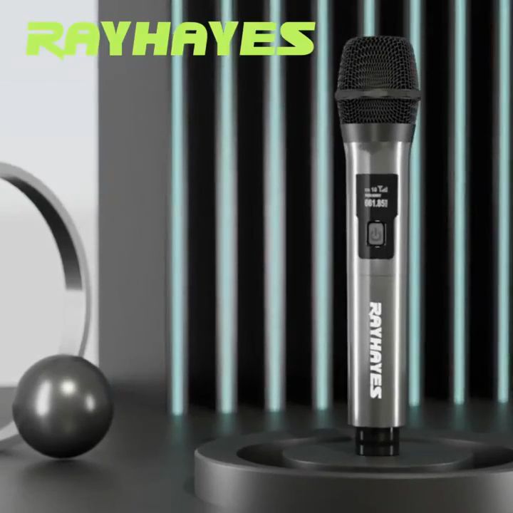RAYHAYES PG-B39 Professional Wireless Microphone UHF Dual Handheld ...