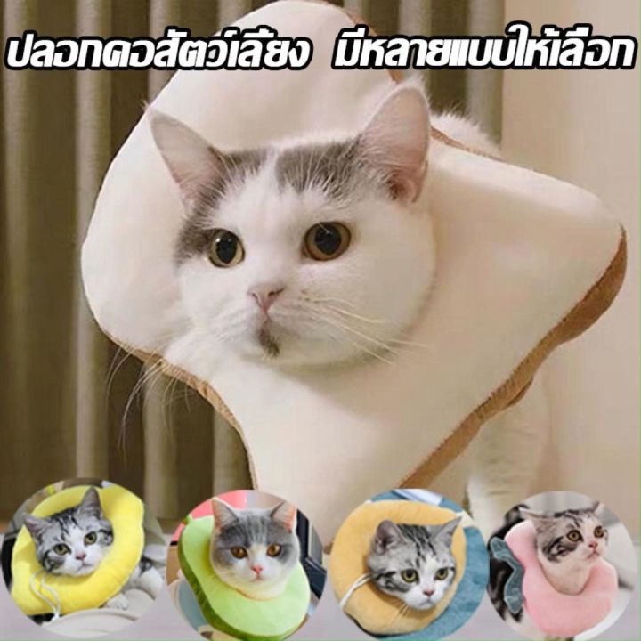 【Dargly】CODปลอกคอกันเลีย S/M/L คอลล่าแมว คอลล่าสุนัข ป้องกันการเลียแผลนุ่มนิ่มใส่สบาย คอลล่ากัน ...