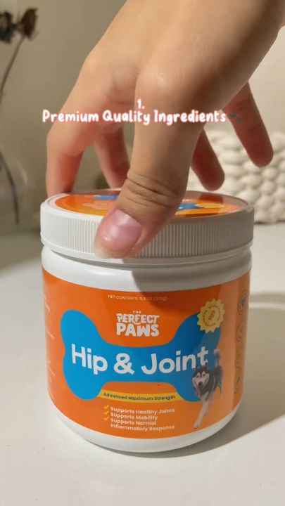 The Perfect Paws 120 Chews Hip and Joint [Bundle of 4] | Lazada PH