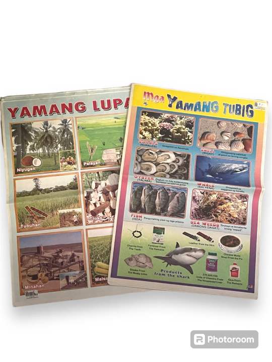 Chart of Yamang Tubig | Yamang Lupa For Educational Learning Kids ...