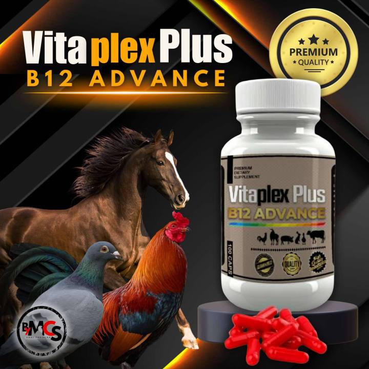 VITAPLEX PLUS B12 + AMINO ACID FOR ANIMALS 100 CAPSULE | Lazada PH