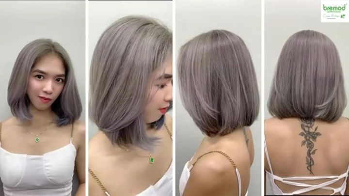 Bremod Premium Cocoa Butter Hair Color MILK TEA ASH 8.17 100ML and Hair ...