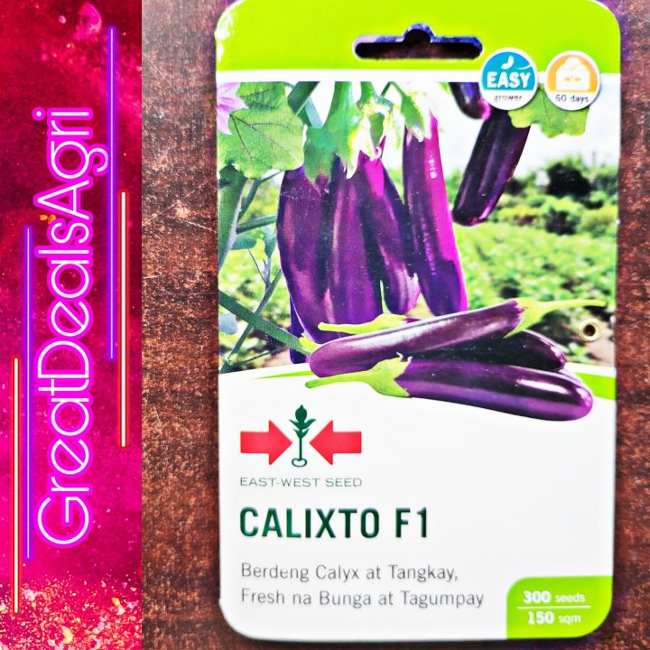 CALIXTO F1 HYBRID EGGPLANT SEEDS (300 SEEDS) EAST WEST SEEDS | Lazada PH