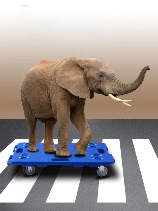 Universal Wheel Turtle Car Hand Push Truck Small Cart Pulling Cargo ...