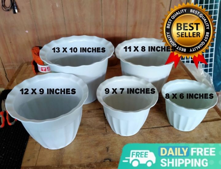 PASO 8 X 6 INCHES 10 PCS PER ORDER / XXXL TO M patented pots plastic na ...