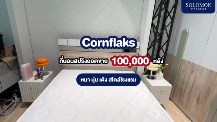 SOLOMON ที่นอนสปริง หนา9นิ้ว รุ่น Cornflaks แถมหมอนหนุนเกรดโรงแรม | Lazada.co.th