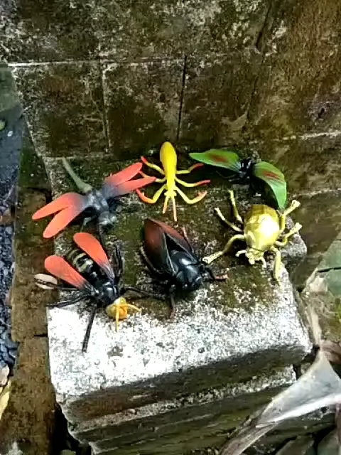 UKURAN BESAR | Mainan Hewan Karet lentur ISI 6 Model MYSTICAL INSECTS ...