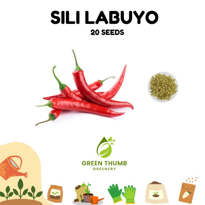 SILI LABUYO SEEDS / SUPER HOT - 20SEEDS | Lazada PH