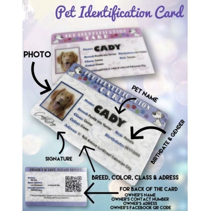 Pet ID Identification card | Lazada PH