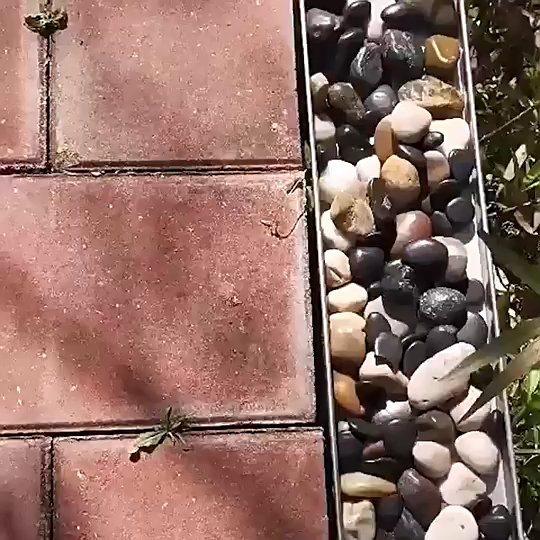 Linear Drainage Gutter with Decorative Pebble Stone Cover Stainless ...