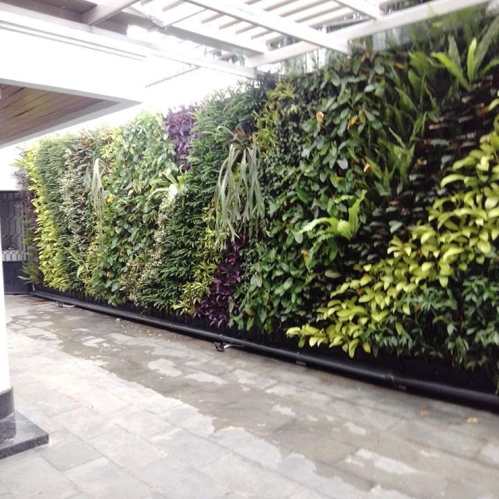 Taman vertical garden tanaman hidup | Lazada Indonesia