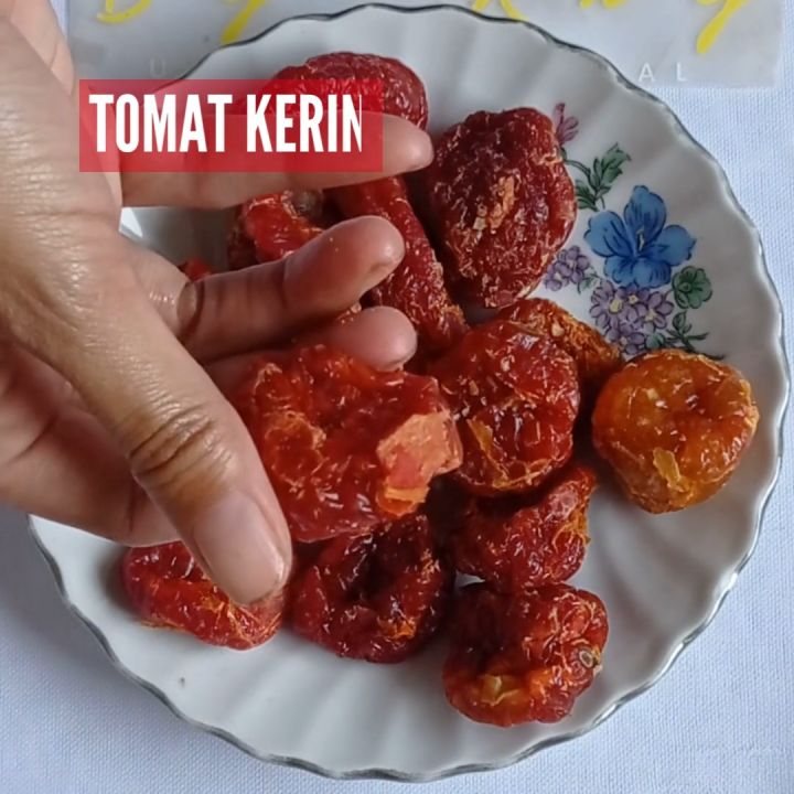 MANISAN BUAH KERING 250 GRAM 1/4 KG CAMILAN BUAH ASINAN BUAH OLAHAN ...