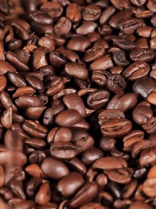 DK coffee bean 500g Medium Roast Dark Roast coffee bean/ Espresso ...