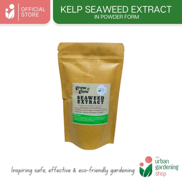 Seaweed Extract- All-Natural Revitalizer for Potting Mix and Garden ...
