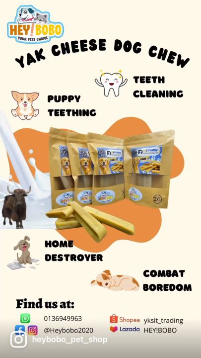 **HEY!BOBO**🔥Huge Size XL-4XL🔥 Dog Dental Health Home Destroyer HUGE ...