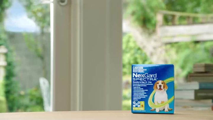 Nexgard Spectra Anti Tick & Flea with Sticker for DOGS | Lazada PH