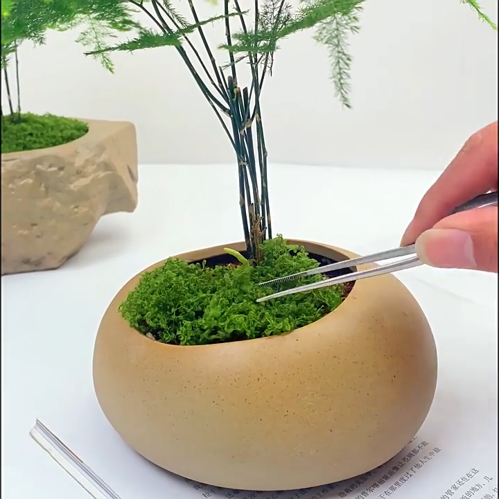 200G DIY Artificial Simulation Moss Lawn Micro Landscape Decoration Green Plant Bonsai Accessory ...