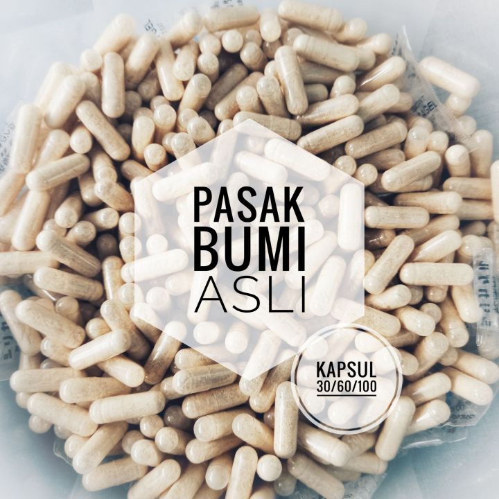 Pasak Bumi Tongkat Ali Asli Kapsul Halal Nashmir | Lazada
