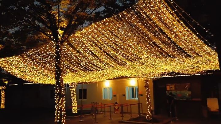 HOMEMORY Christmas Light Festival Lights 100LED 10M String Lights ...
