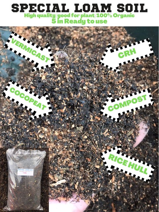 Special Loam Soil ( mix to cocopeat , vermicast, crh, rice hull ...