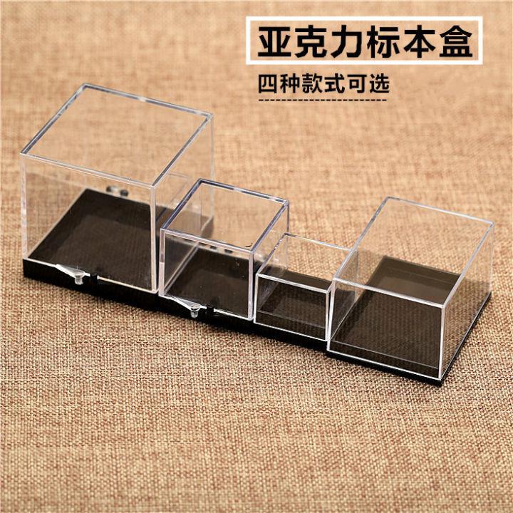 Acrylic Transparent Mineral Crystal Specimen Storage Box Fossil Raw ...