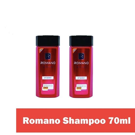 Romano Shampoo Anti Dandruff Attitude 70 ml | Lazada Indonesia