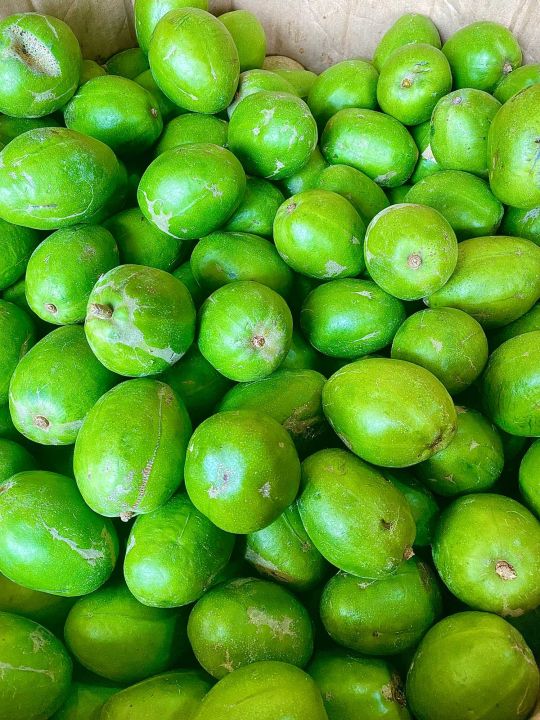 KEDONDONG BANGKOK 1KG | Lazada Indonesia