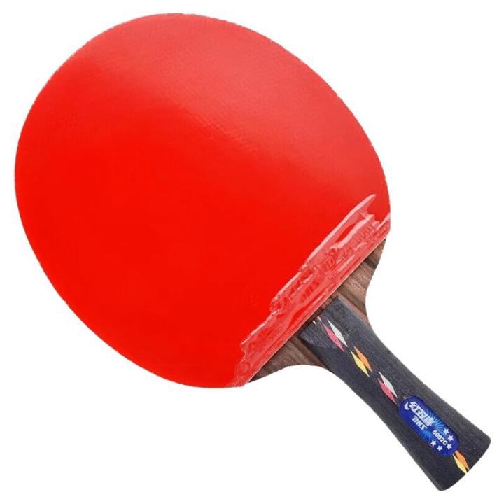 DHS | Carbon Fiber Table Tennis Racket with Two-Sided Rubber Coating ...