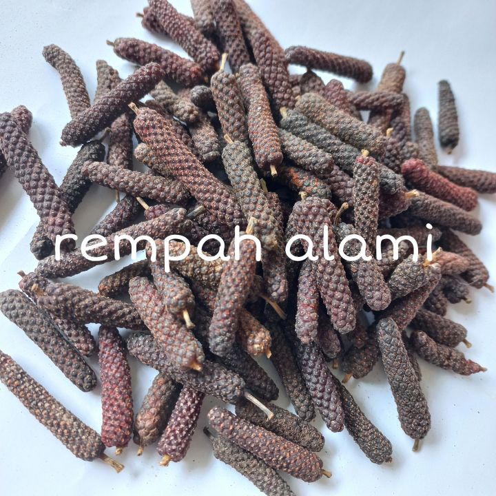 cabe jamu/cabe puyang/cuper cubeba 100gr | Lazada Indonesia