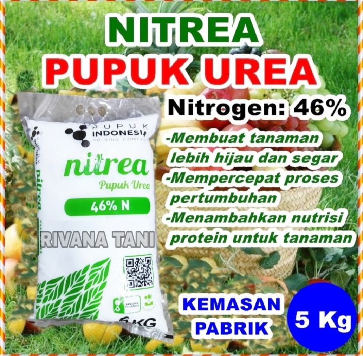 NITREA 5 kg NITROGEN 46% Pupuk Daun dan Pertumbuhan Tanaman Pupup Urea ...