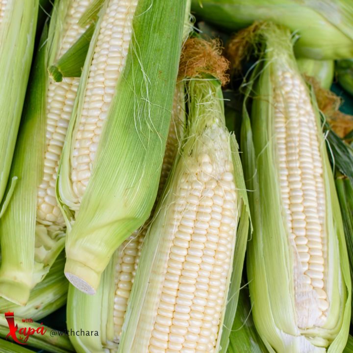 binhi pantanim seeds for planting corn white lagkitan | Lazada PH