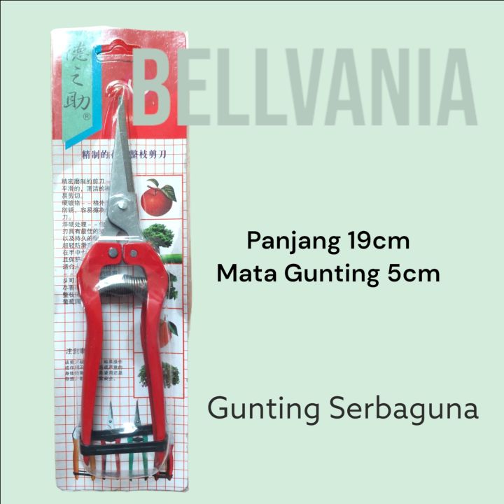 Gunting Pemangkas Daun Dahan Ranting Tanaman Multifungsi 19cm | Lazada ...