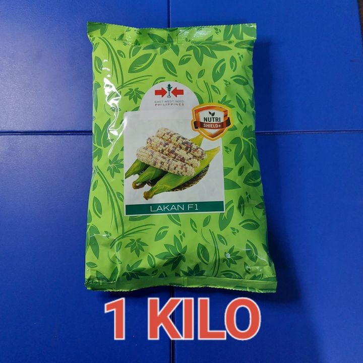 LAKAN F1 1 KILO (improved Variety of Purple Sweet) HYBRID WAXY CORN ...