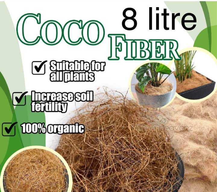 PURE ORGANIC COCONUT FIBER coir / for plants seedings increase soil ...